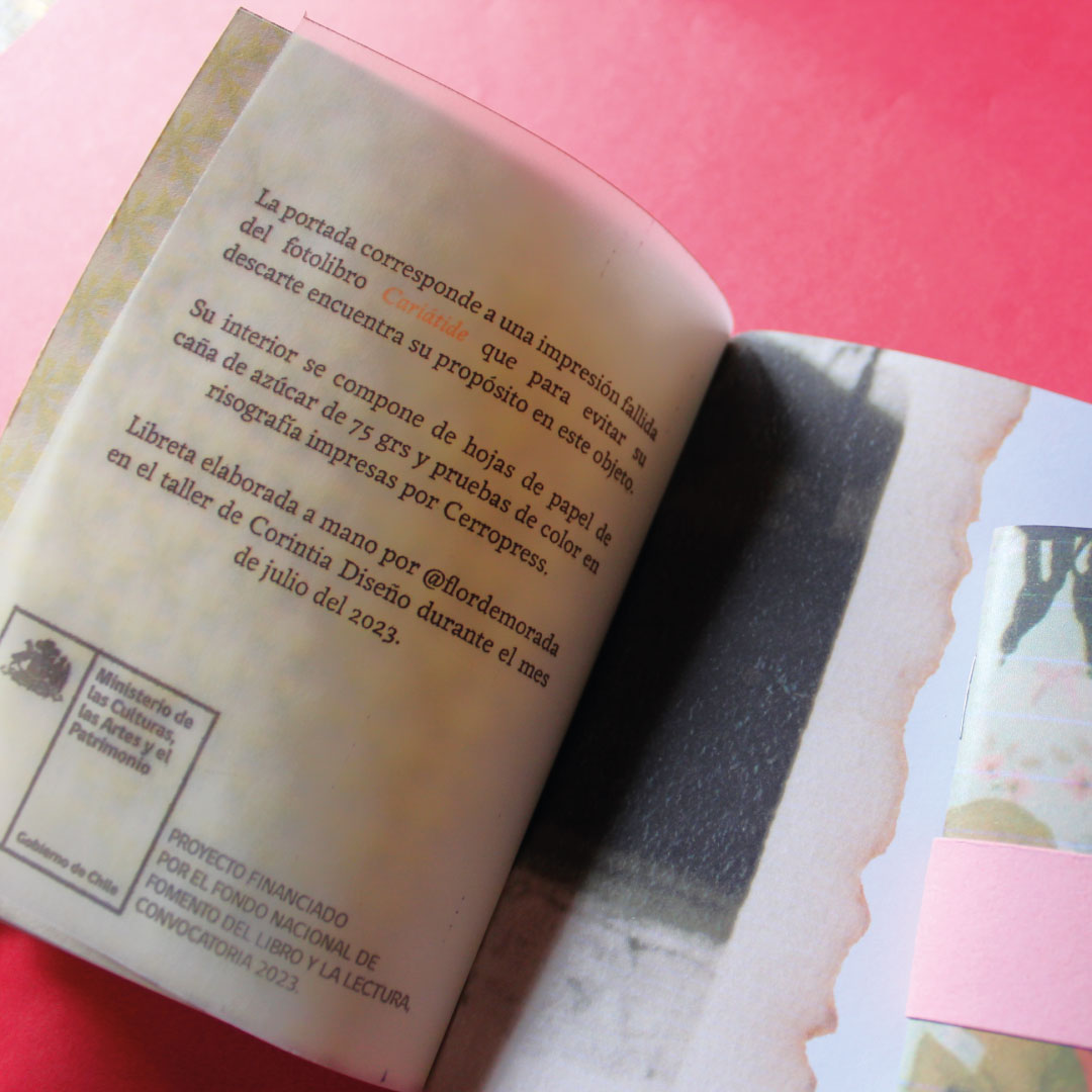 flordemorada – LAURA FLORES MORAGA